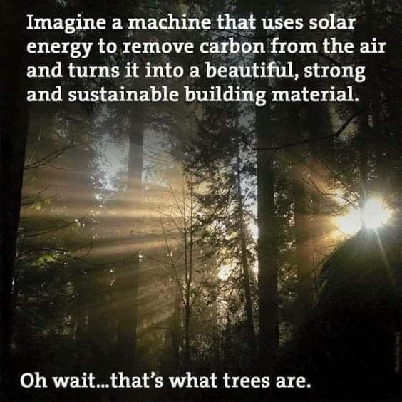 Solar powered CO2 Reducing Machine – pastorwardclinton