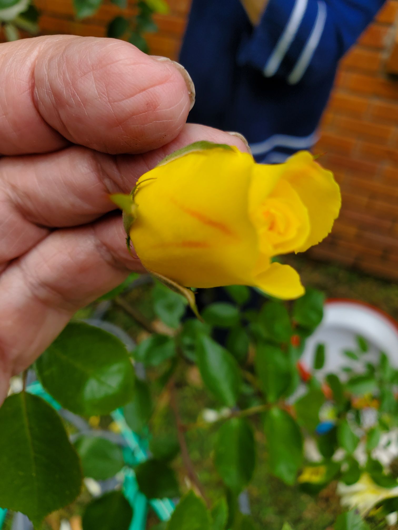 Perseverance – pastorwardclinton